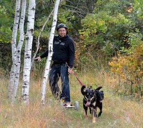 Mountain Boarding With Dogs: Off-Roading Adventures Powered By Pooches ...