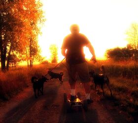 Mountain Boarding With Dogs: Off-Roading Adventures Powered By Pooches ...