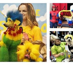 Extreme Dog Grooming Competitions Take Fur Styling To A Funky New Leve ...