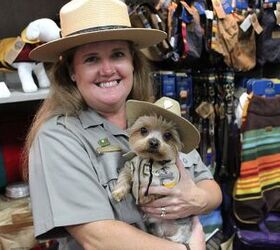 SuperZoo 2016 Day 1: Carolina Pet Company’s Pendleton Pet Collection ...