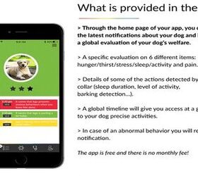 Keep a Constant Tail On Your Dog With This Kickstarter Smart Collar De ...