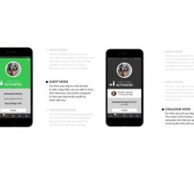 Keep a Constant Tail On Your Dog With This Kickstarter Smart Collar De ...