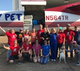 Renee Zellweger Helps Lucy Pet Rescue Dogs From Overcrowded Houston Sh ...
