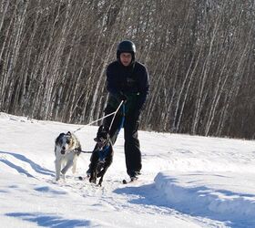 6 Types of Urban Mushers You’ll Meet on the Trails | PetGuide