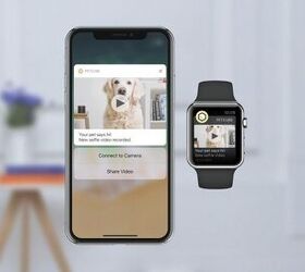 Petcube’s New AI Feature Lets Your Pet Video Call You | PetGuide