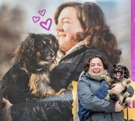 This Beautiful Mural Is Made From Pictures of Adopters and Their Rescu ...