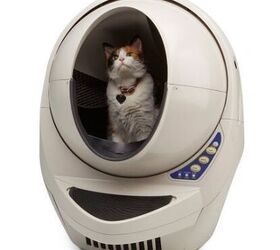 3 Of The Most Innovative Litter Boxes We’ve Seen | PetGuide