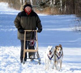 The ABC’s of Kicksledding | PetGuide