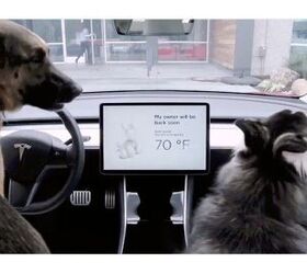 Tesla Rolls Out Dog Mode To Ensure Your Dog Stays Chill While Waiting ...