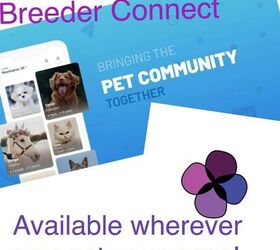 Breeder Connect: The Ethical Way To Connect And Find Your Perfect Bree ...