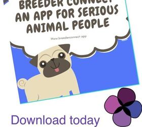 Breeder Connect: The Ethical Way To Connect And Find Your Perfect Bree ...