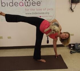 “For The Love Of Dog” Dogumentary Showcases Pampered Pooch Phenome ...