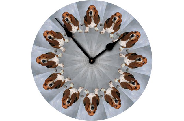 Top 10 Gifts For Dog Lovers PetGuide top-10-gifts-for-dog-lovers-petguide