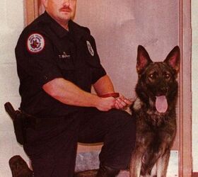 Police Dog’s Heroic Sacrifice The Inspiration Behind Aron’s Law | PetGuide