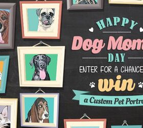 Happy Dog Mom’s Day Contest | PetGuide