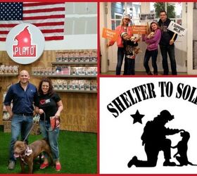 Plato Pet Treats’ “Plato Wags Back” Program Supports Veterans An | PetGuide