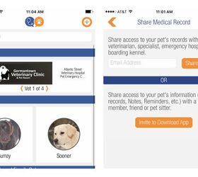 VitusVet App Gives You Access To Your Dog’s Medical Records 24/7 | PetGuide