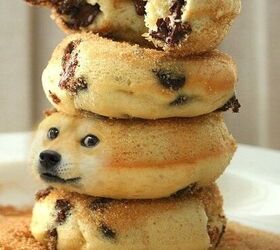 It’s National Donut Day – These 10 Donut Loving Dogs Will Give You ...