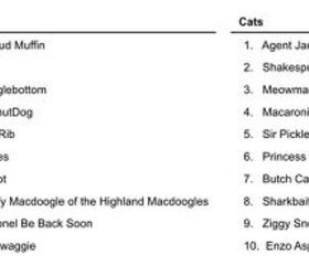 Jack Meower and Kanye Westie Make 2016’s Wackiest Pet Names List | PetGuide