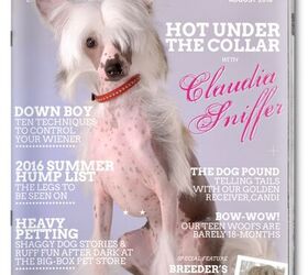 It’s Dogs From Cover to Cover on These Adorbs Magazine Mockups | PetGuide