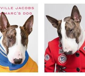 Marc Jacobs’ Dog Debuts Power Pooch Picturebook | PetGuide