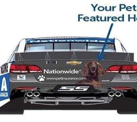 Your Pet’s Face Could Be Dale Earnhardt Jr.’s New Bumper Sticker ...