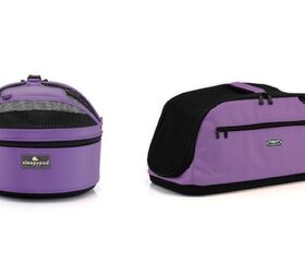 Sleepypod Introduces Hot New Color… But Only For a Limited Time | PetGuide