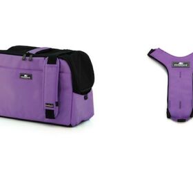 Sleepypod Introduces Hot New Color… But Only For a Limited Time | PetGuide