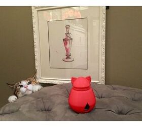 Show Off Your Creativity With DôyenWorld’s DôyenDog and DôyenCat | PetGuide