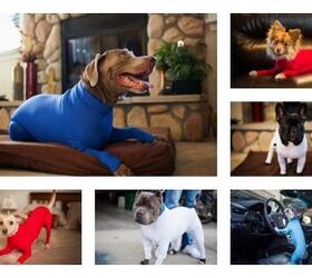Shed Defender’s Doggie Onesie Keeps Fur From Flying | PetGuide
