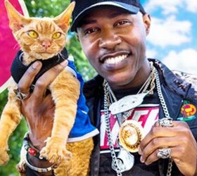 Portland’s Parking Kitty App Brings All the Coolest Cats to the Lot ...