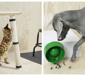 IKEA Introduces New Pet Line To The United States And We Are “Lurvig ...