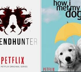 Graphic Design Student Creates Petflix Ads For Shows We’d Binge Watc ...