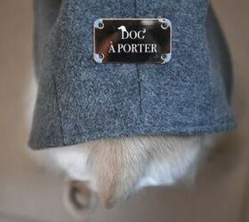 Milan’s Runways Are All About Doing It in High Doggie Style | PetGuide