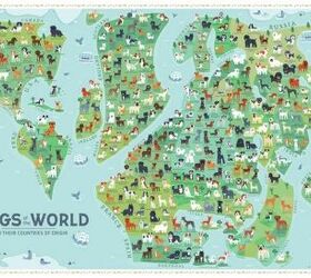It’s a Dog’s World: Artist Paints 345 Dog Breeds Onto a Map | PetGuide