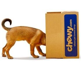 We’ve Partnered With Chewy.com – Here’s Why | PetGuide
