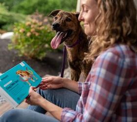 Unlock Your Pup’s Heritage: Embark Vet's Summer Sale is Here! | PetGuide