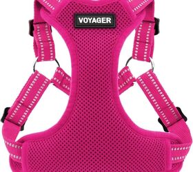How to Choose the Right Harness for Your Dog | PetGuide
